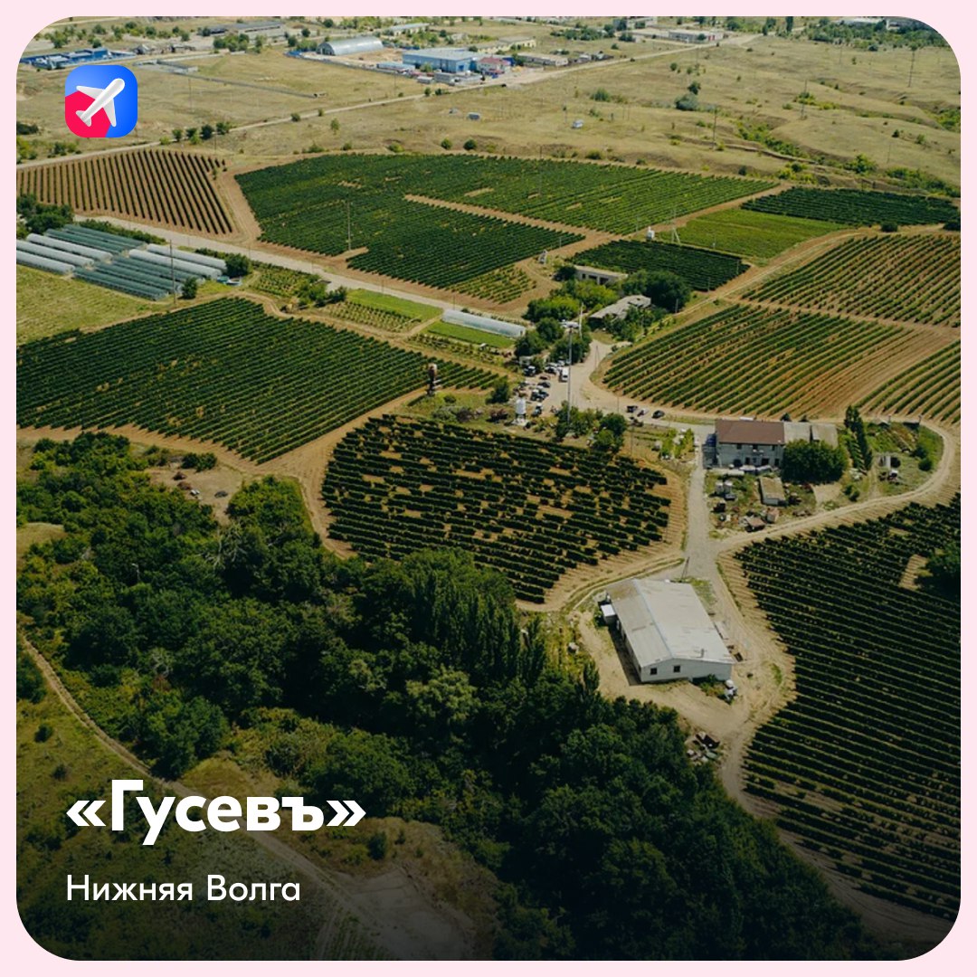 Telegram-канал "Ozon Travel" — @ozontravel_official — TGStat